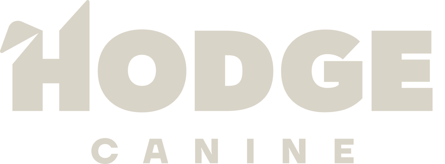 The Dopamine Box: Your Dog’s New Favorite Training Game – Hodge Canine